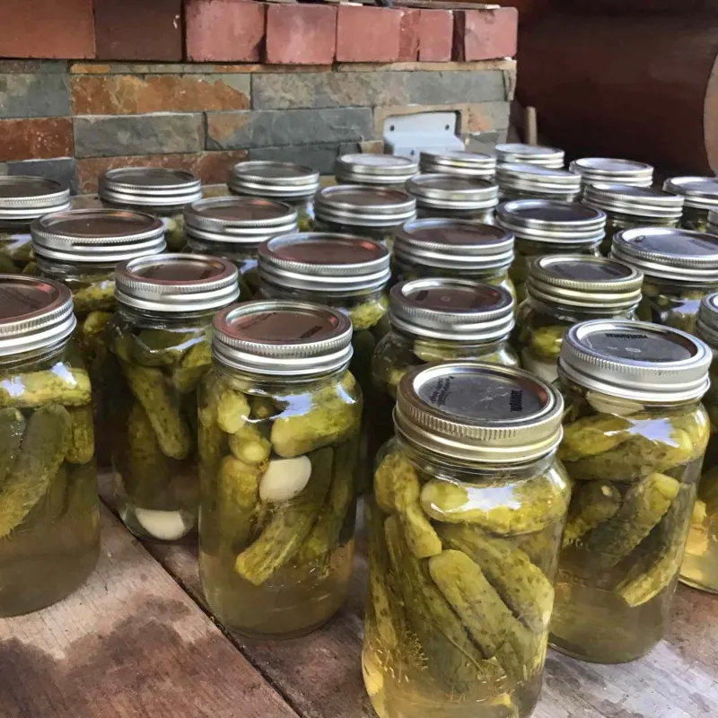 Pop's Dill Pickles Recipe